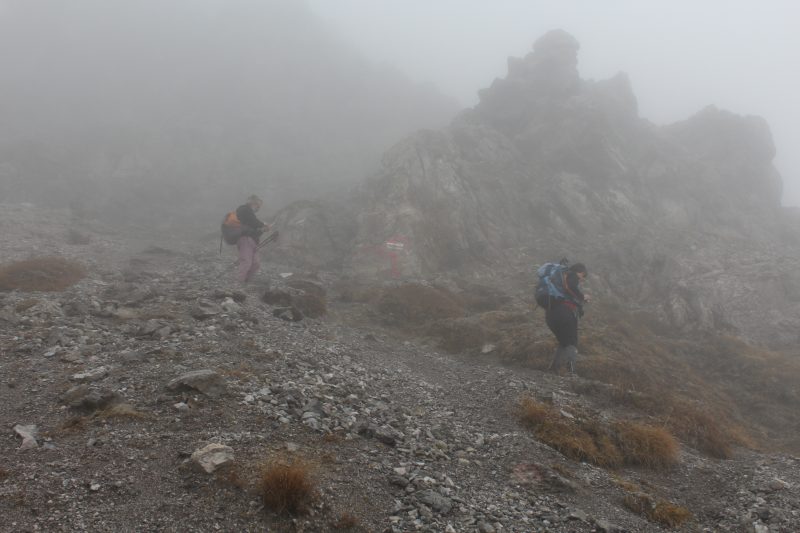 378 cima monte Schiaron – La Traccia, Escursioni e Viaggi