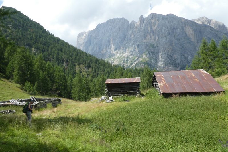 foto Lach dei Giai Forcella Franzedàs – La Traccia, Escursioni e Viaggi